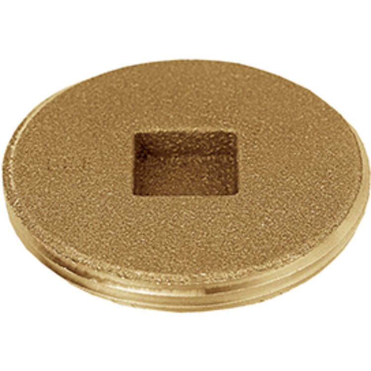 6" Countersunk Brass Flush Plug | PlumbersStock