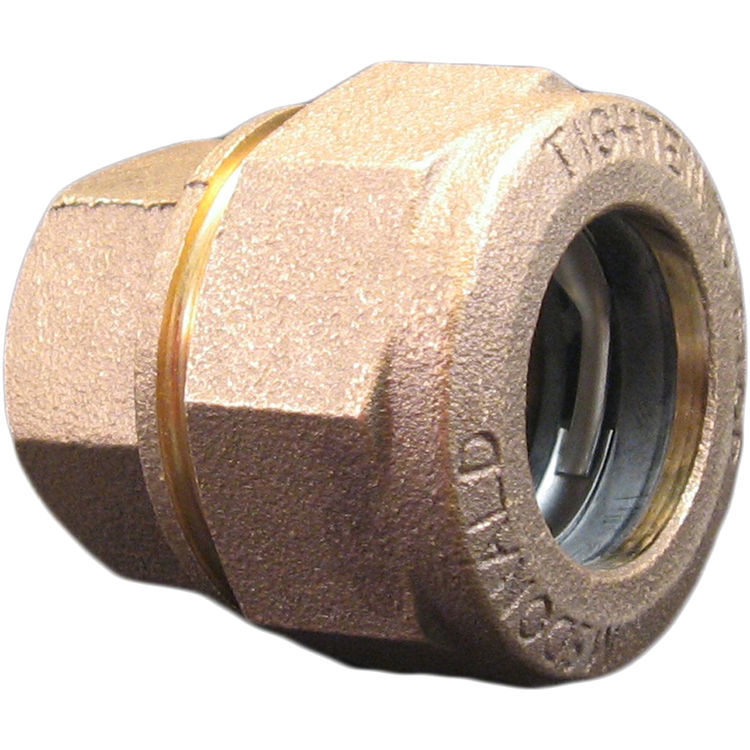 HDPE 200 PSI 1" CTS Female Adapter | PlumbersStock