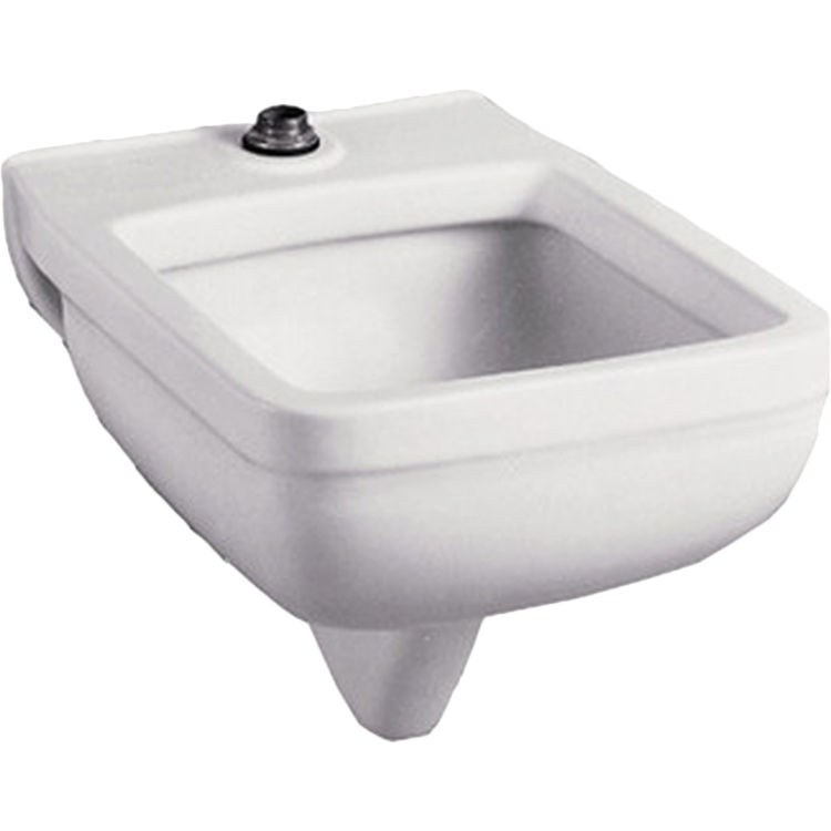 American Standard 9512.999.020 Wall-Mount Clinic Service Sink, White ...